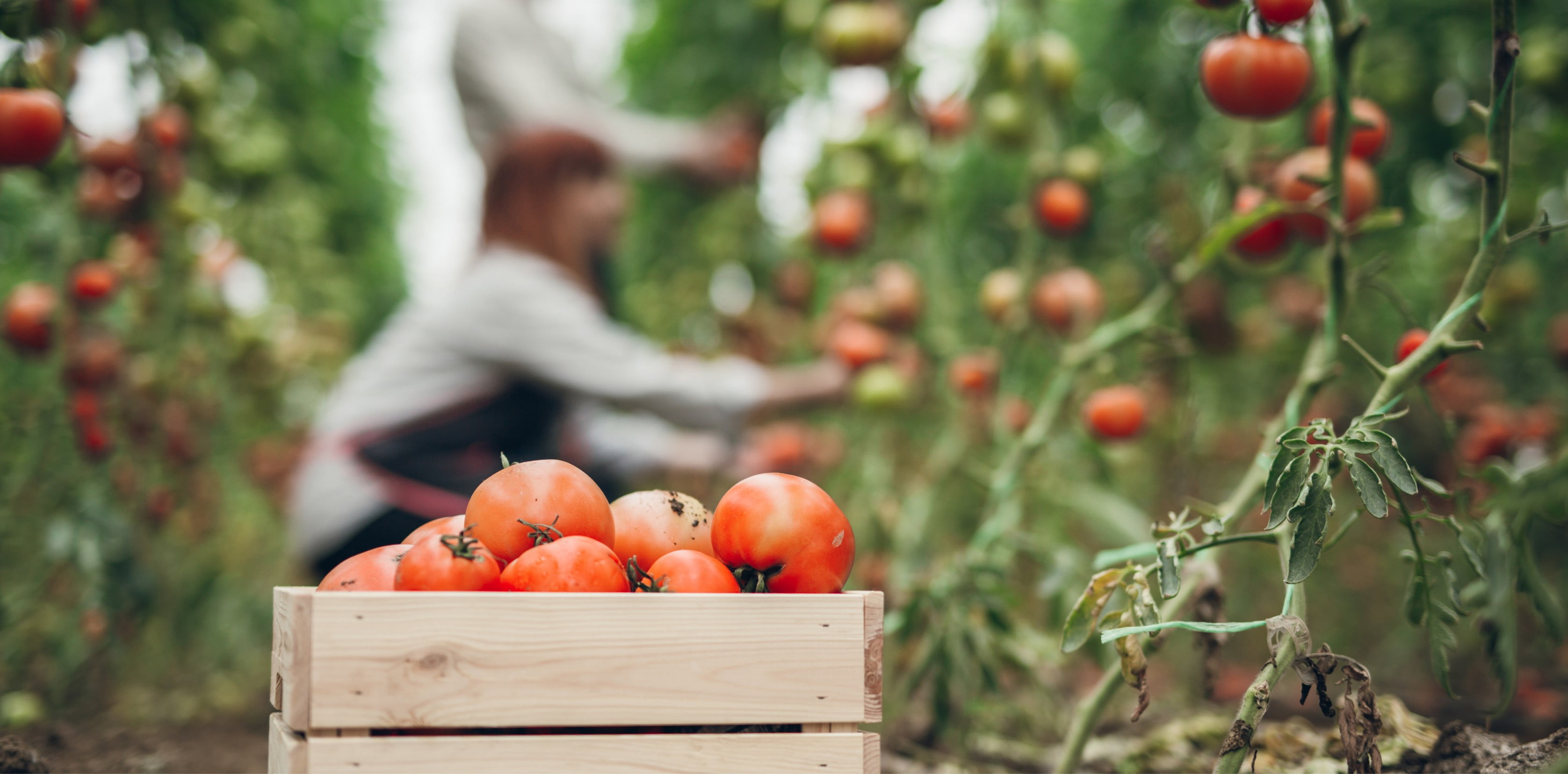 Quality - Good Food Group A/S